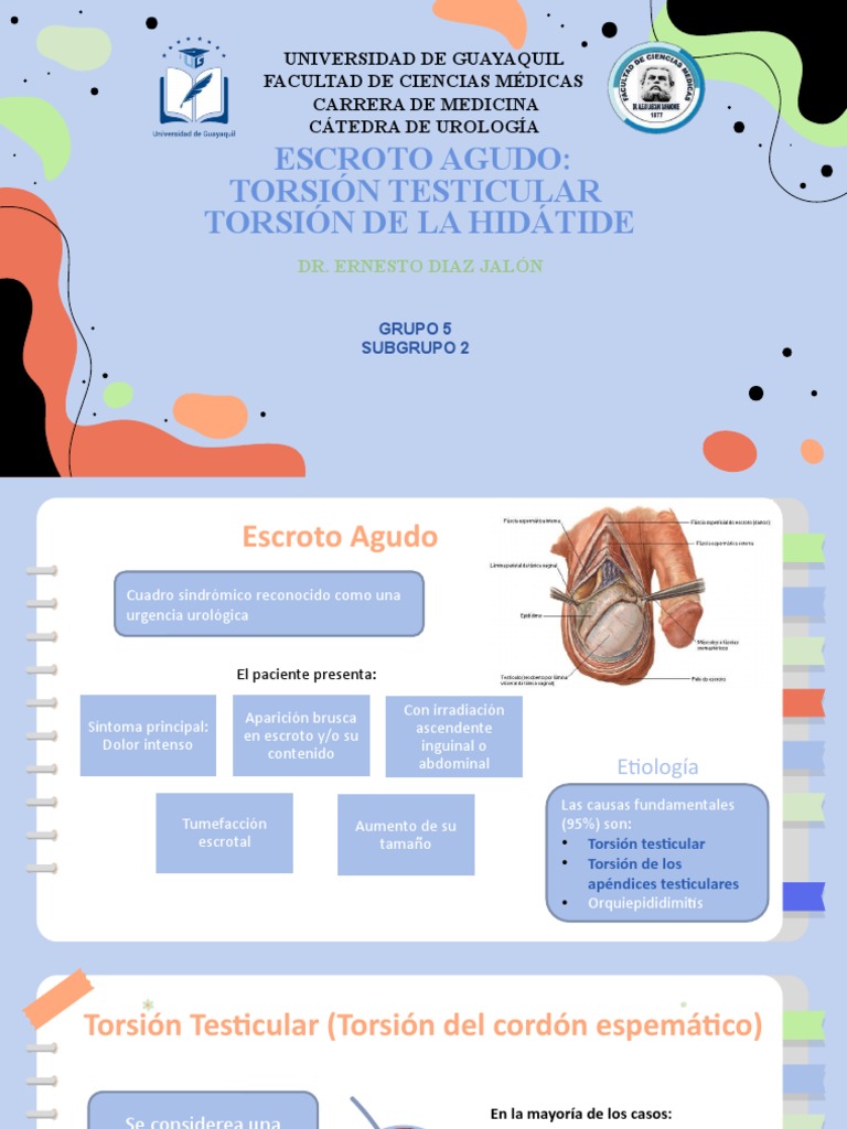 Escroto Agudo-Grupo 5-Subgrupo 2 | PDF | Especialidades Medicas ...