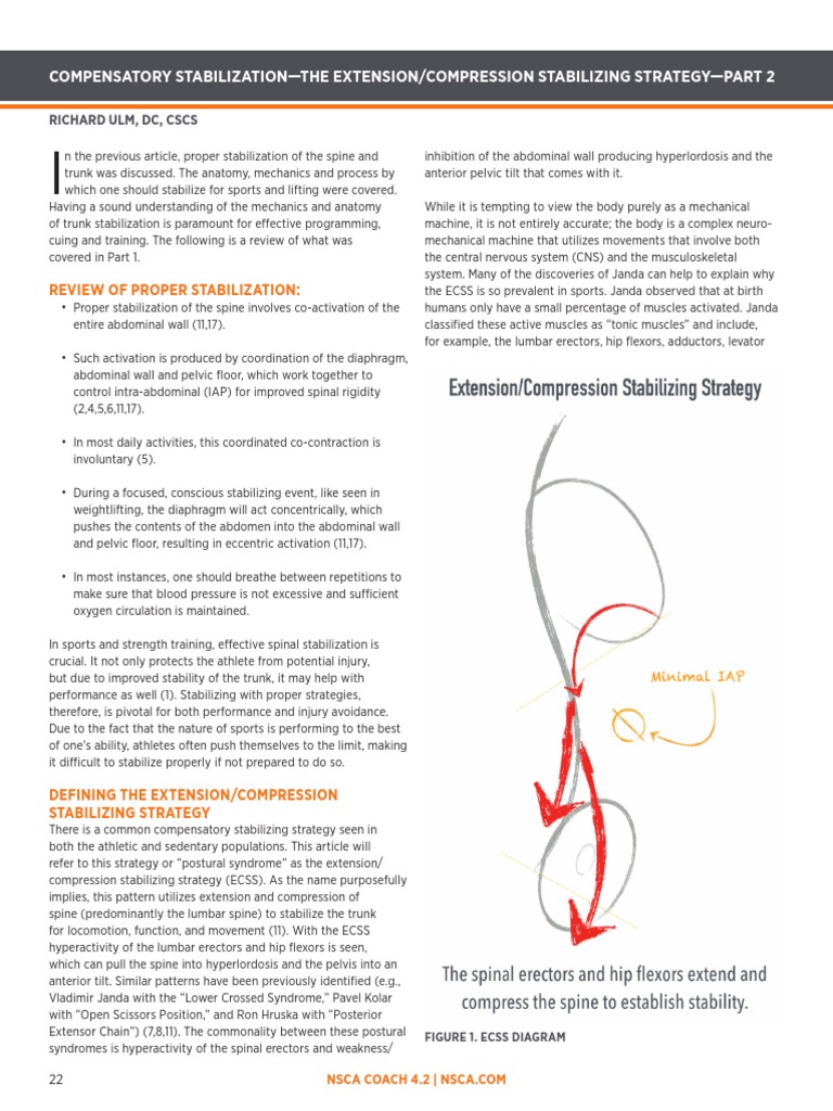 Understanding Compensatory Stabilization Strategies: Defining the ...