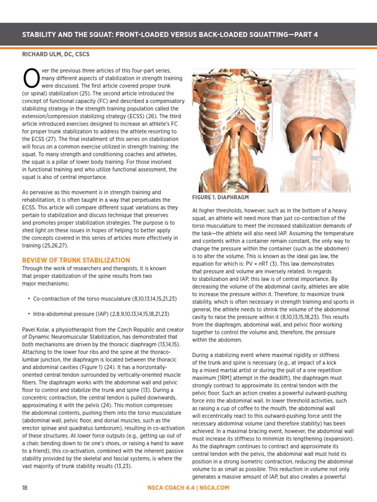 NSCA Coach 4.4 - Ulm Part 4 | PDF | Abdomen | Pelvis