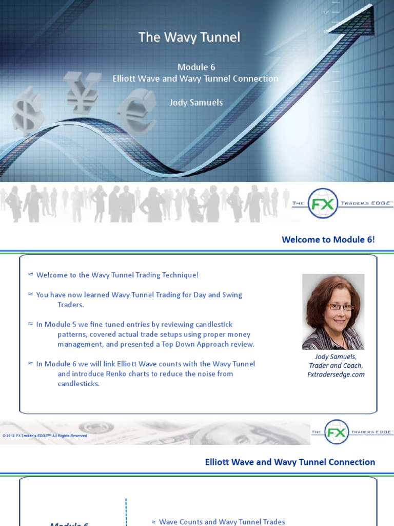 Wavy Tunnel Module 62012 | PDF | Financial Economics | Market (Economics)