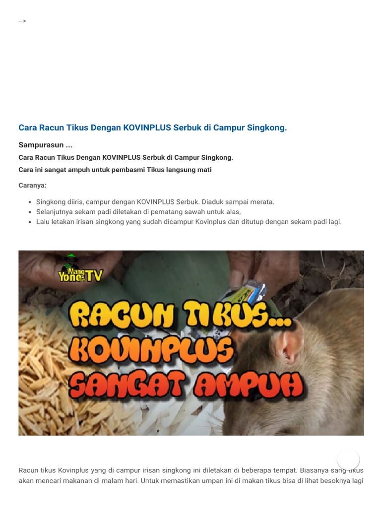 Cara Racun Tikus Dengan KOVINPLUS Serbuk Di Campur Singkong. | PDF