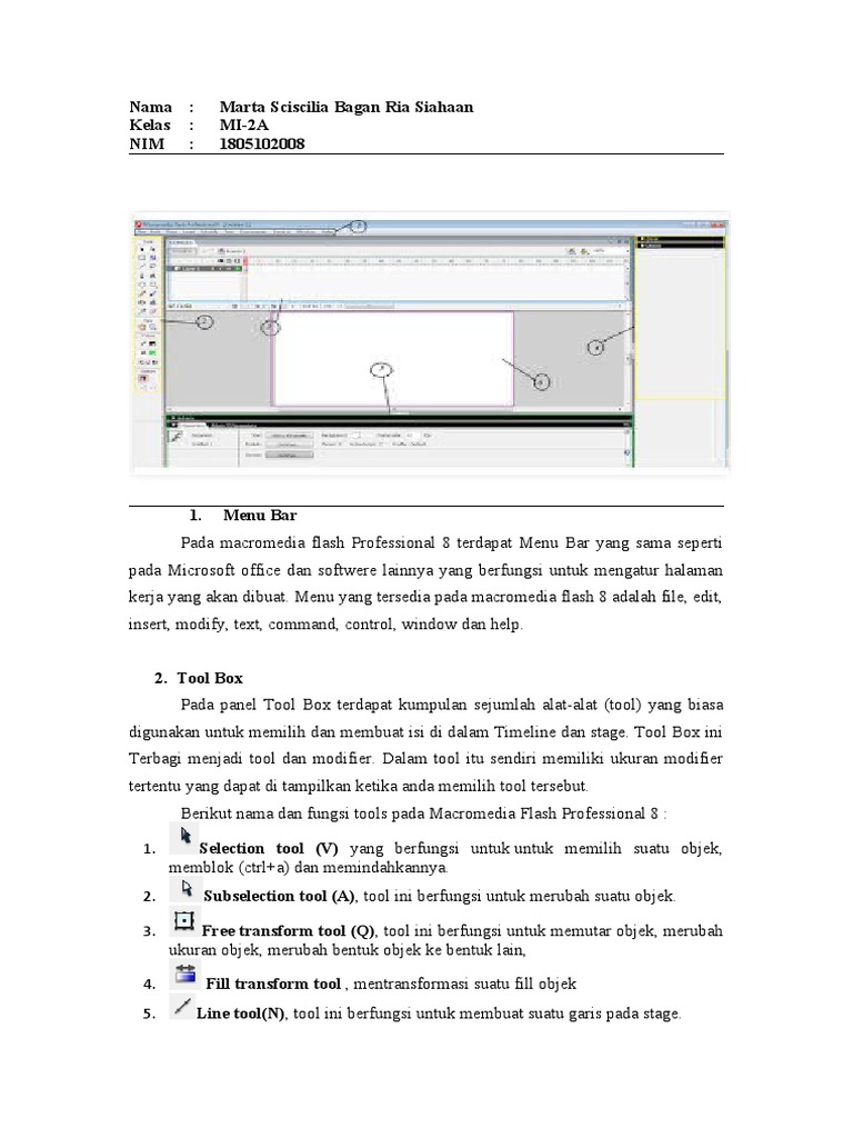Desain Grafis Tool Macro Media Flash | PDF