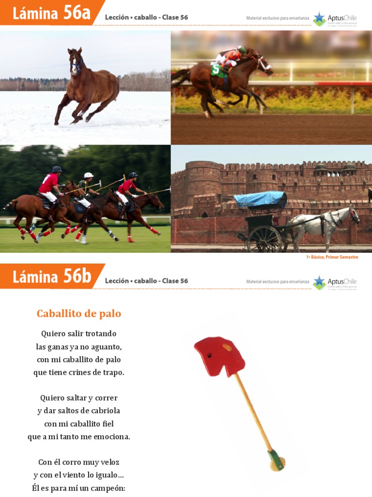 Lecciones de Caballo para 1º Básico | PDF | Ganado