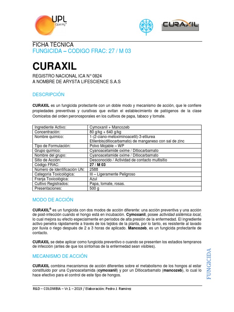 Curaxil | PDF | Agua | Hongo