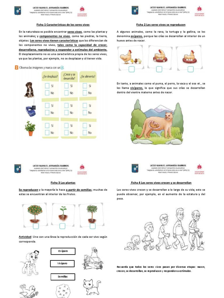Características de Los Seres Vivos Semana Del 04 Al 08 de Mayo | PDF ...