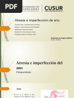 Qué es la espermatorrea | PDF | Causas de la muerte | Medicina