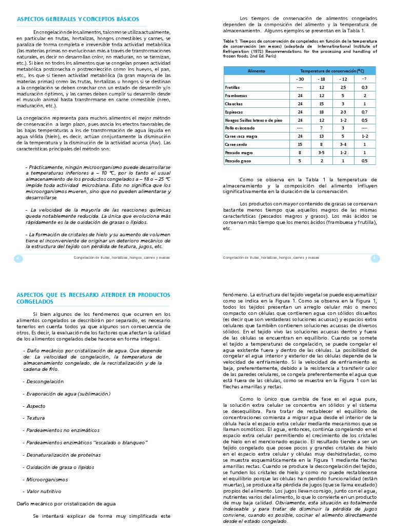 Congelación de Alimentos: Temperaturas y Efectos | PDF | Carne | Agua