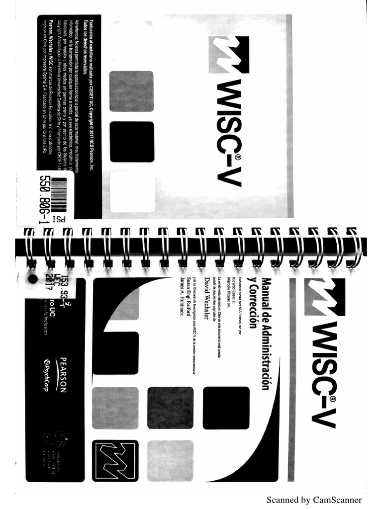 Manual Wisc 5 | PDF