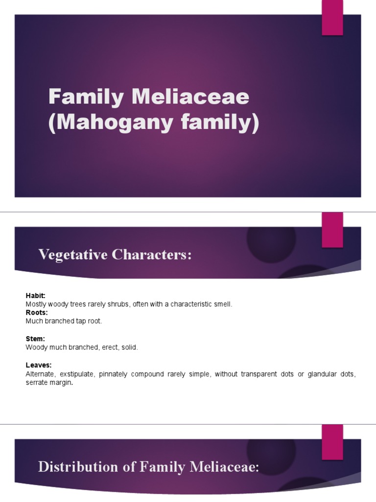 Family Meliaceae (Mahogany Family) | PDF | Cucurbita | Flowers