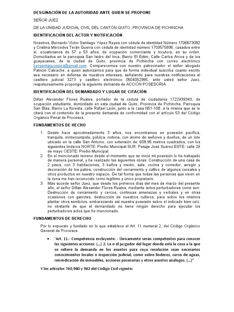 Demanda Derecho Civil | PDF | Demanda judicial | Posesión (Ley)