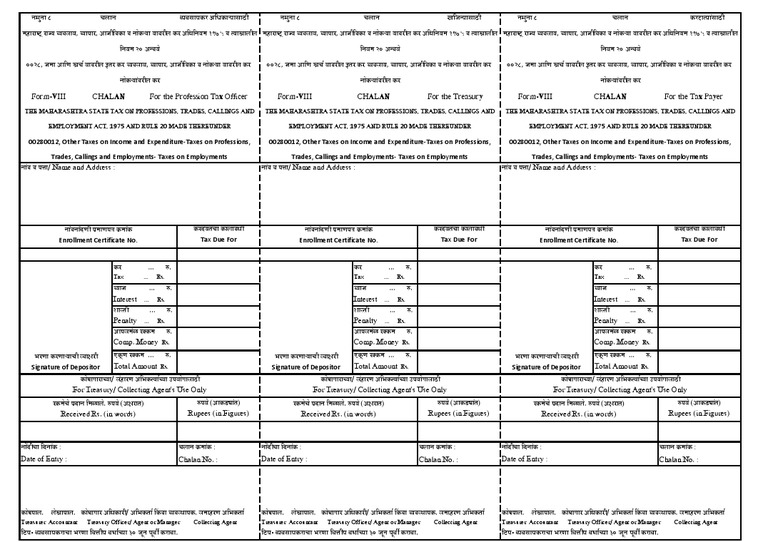 Form VIII Maharashtra Professional Tax Challan | PDF