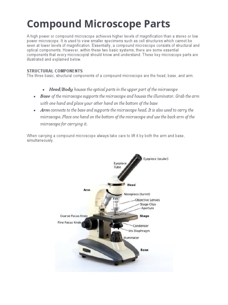 Microscope Parts Guide | PDF | Laboratory Equipment | Optical Devices