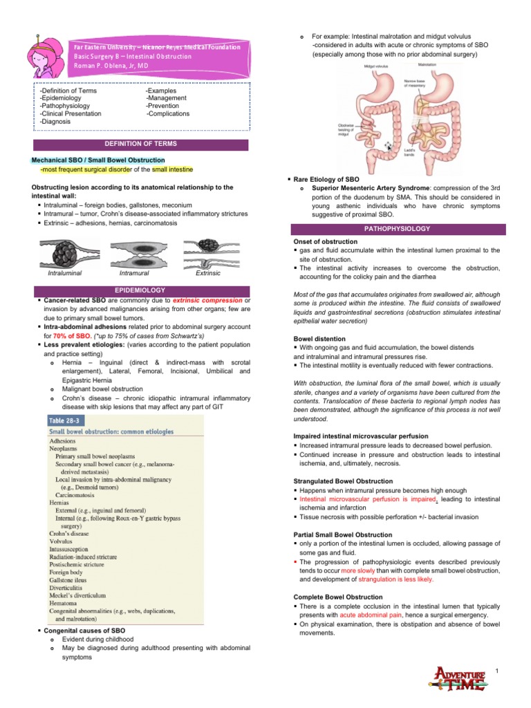Small Bowel Obstruction Overview | PDF | Gastrointestinal Tract | Surgery