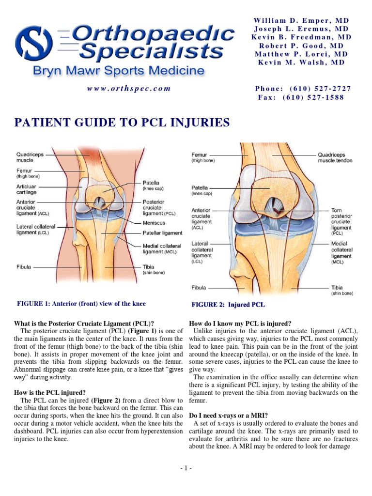 Patient Guide To PCL Injuries | PDF | Knee | Surgery