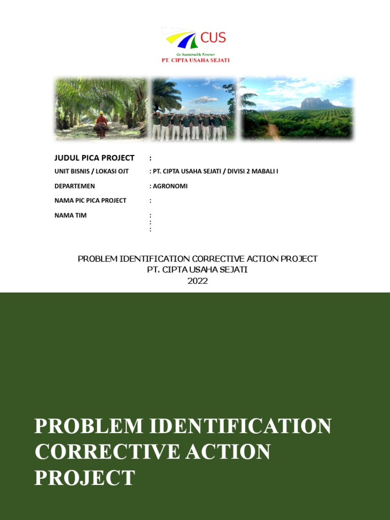 Format Presentasi PICA Project | PDF