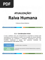 Ficha Antirrabica Preenchivel 27112020 | PDF | Raiva | Sistema de saúde