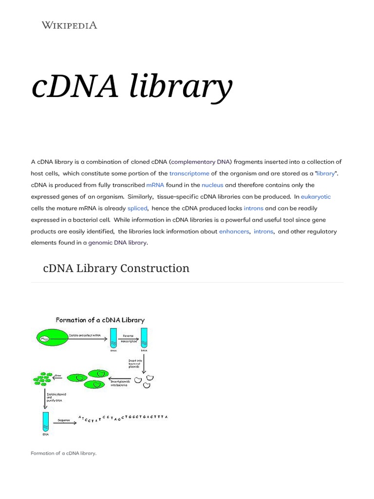 Cdna Library