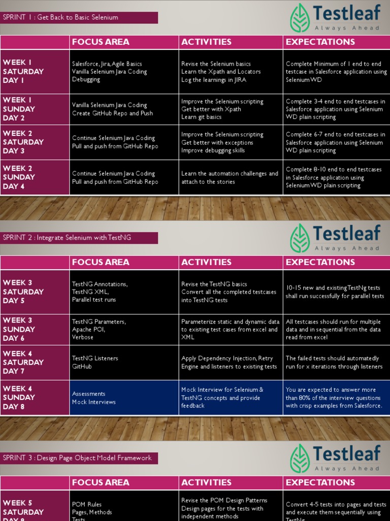 TestLeaf Selenium Bootcamp - Sprints | PDF | Software Testing ...