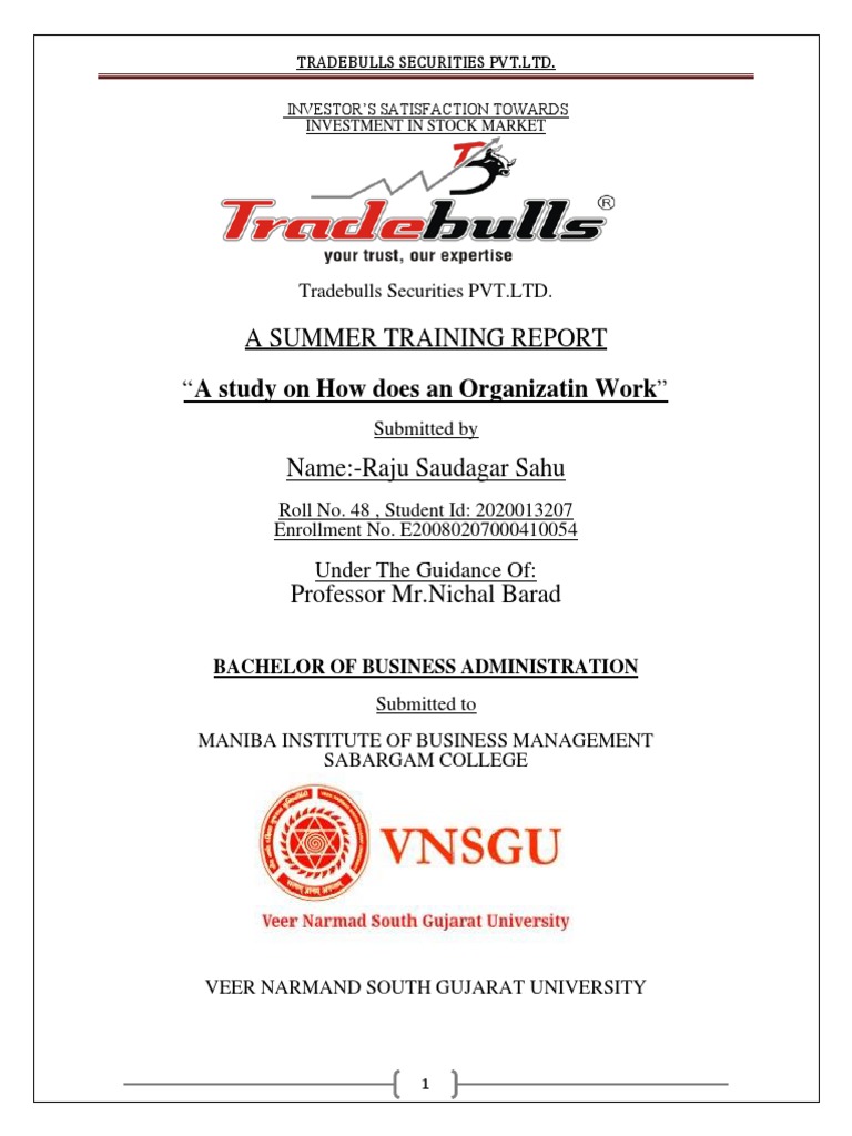 RAju Sahu | PDF | Investing | Securities (Finance)