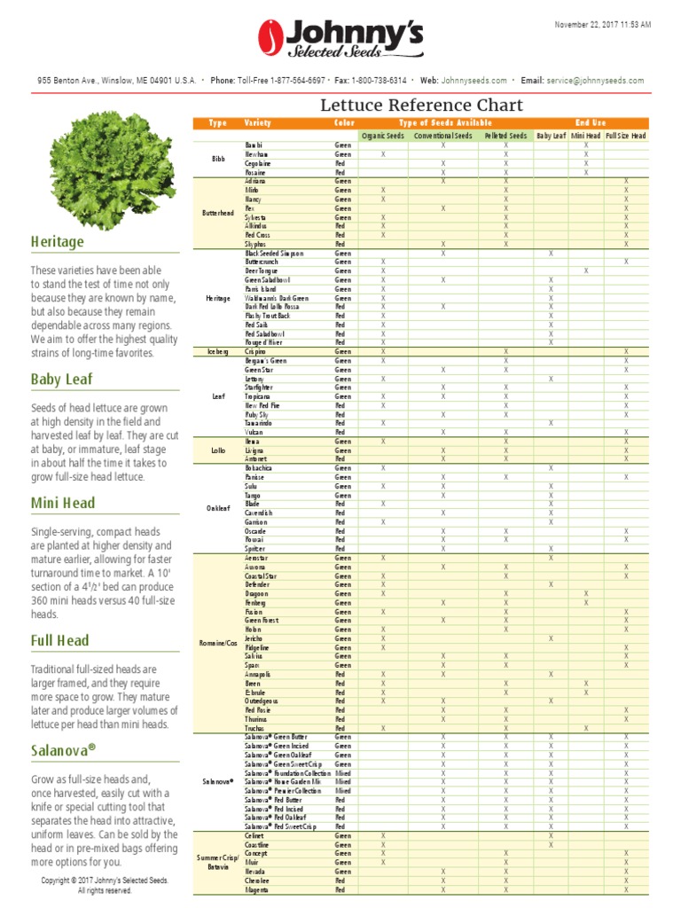 Lettuce Quick Reference Chart | PDF | Lettuce | Plants