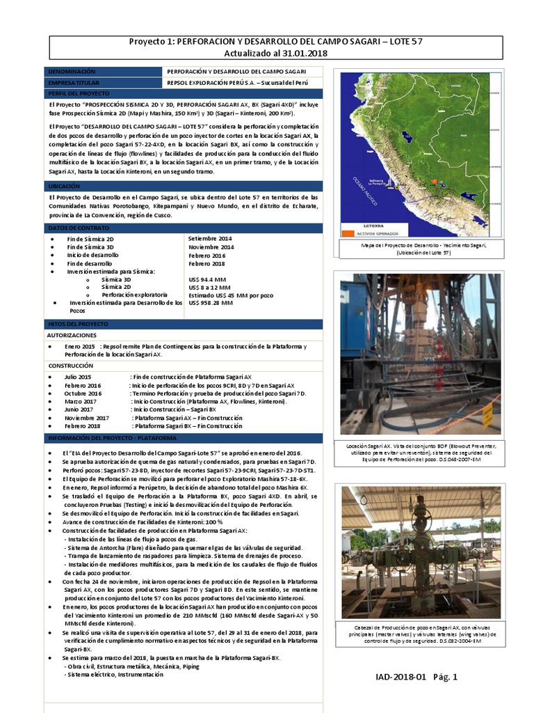 1 - GUIA REPSOL - 001-Campo-Sagari-Lote-57 | PDF | Ingeniería mecánica ...