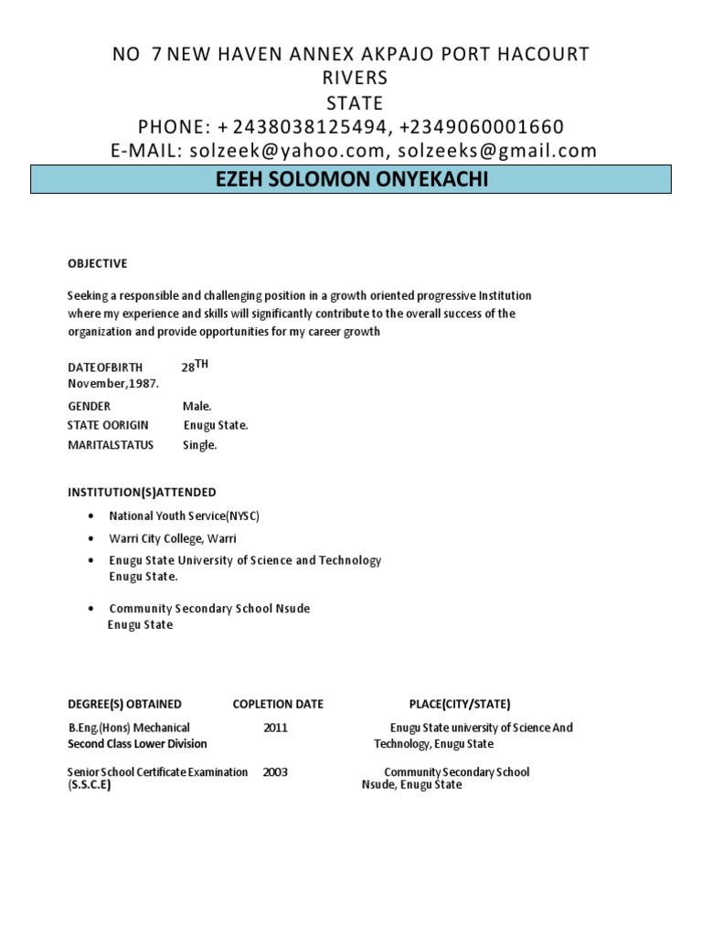 solomon cv RIGGERs | PDF