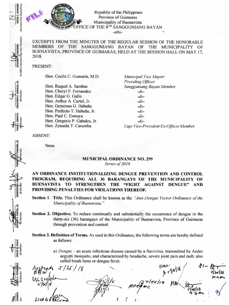 Municipal Ordinance No. 299, Series of 2018 | PDF
