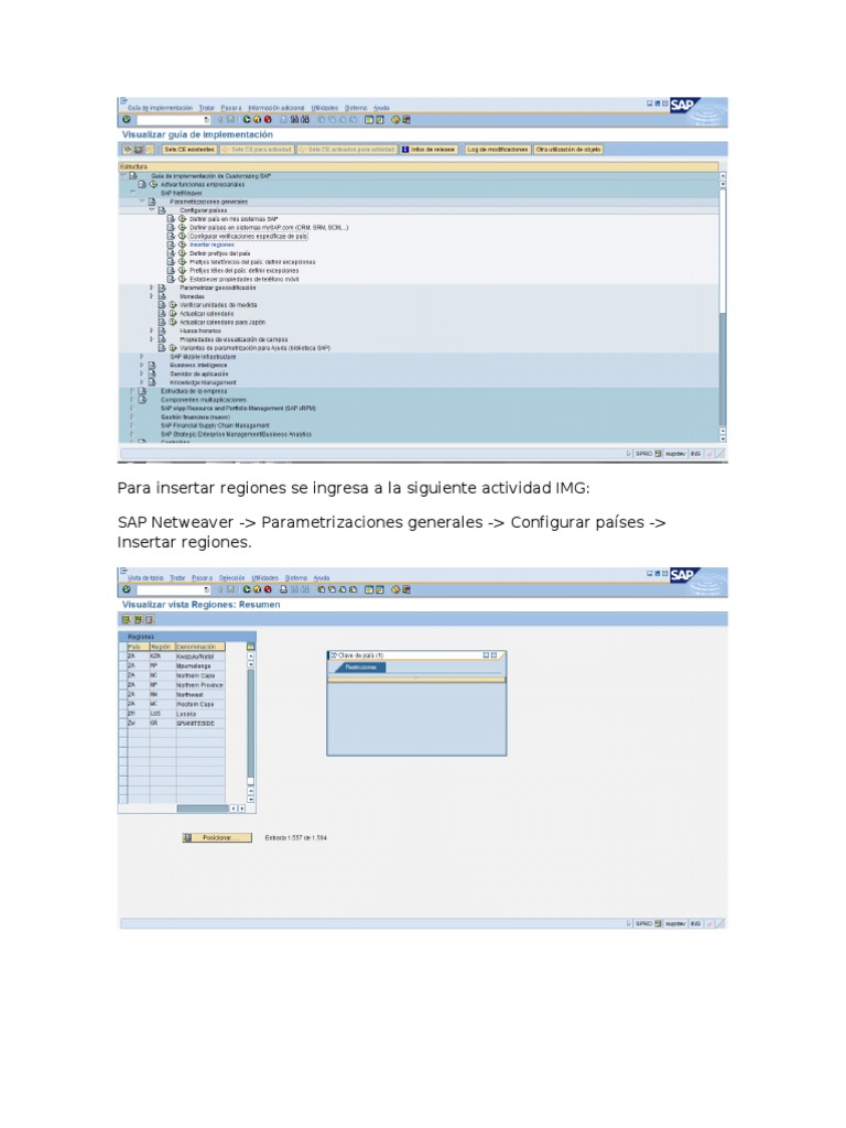 Crear Regiones en SAP | PDF