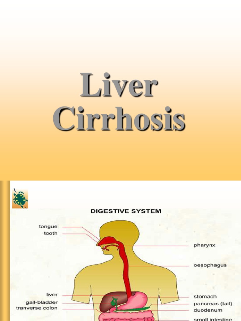 Pathophysiology On Liver Cirrhosis | PDF | Cirrhosis | Liver