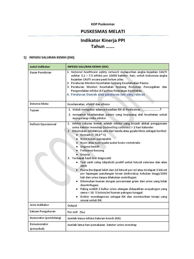 5.5.1. 2 Contoh Indikator Kinerja PPI | PDF