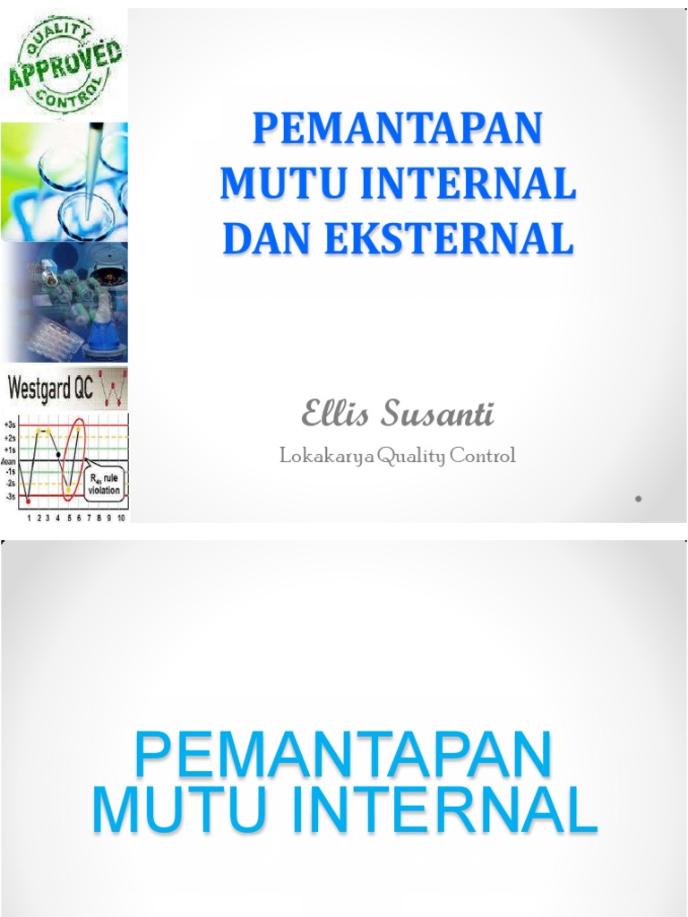 Pemantapan Mutu Internal Dan Eksternal: Ellis Susanti | PDF