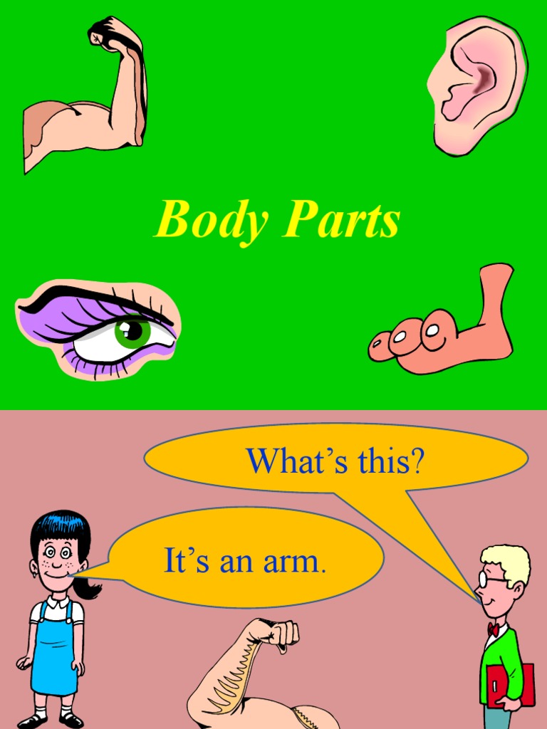 Body Parts Powerpoint | PDF