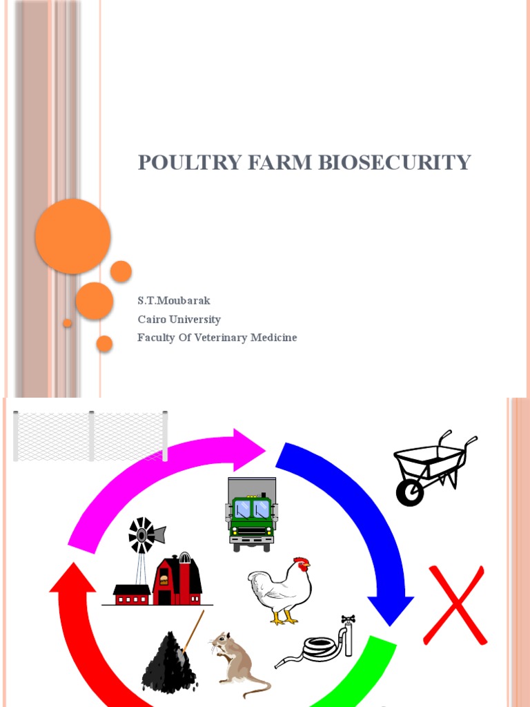Poultry Farm Bio Security | PDF | Disinfectant | Chemistry