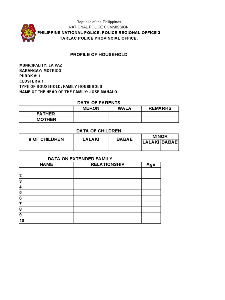 BLANK MATRIX For Profiling and Clustering | PDF