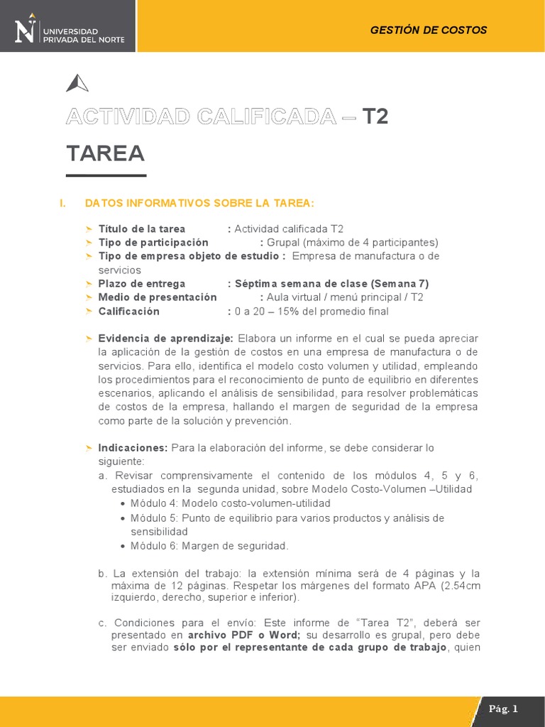 Formato de Tarea T2 | PDF | Business | Análisis FODA