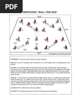 KAPIT FA Goalkeeper Evaluation Form | PDF