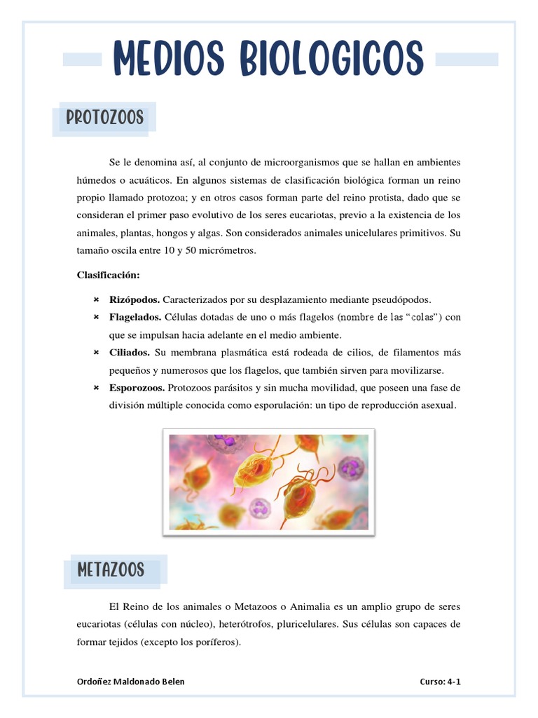Medios Biologicos | PDF | Virus | Eucariotas