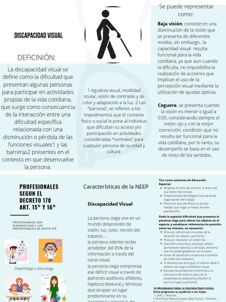 Triptico Discapacidad Visual | PDF | Discapacidad visual | Percepción visual