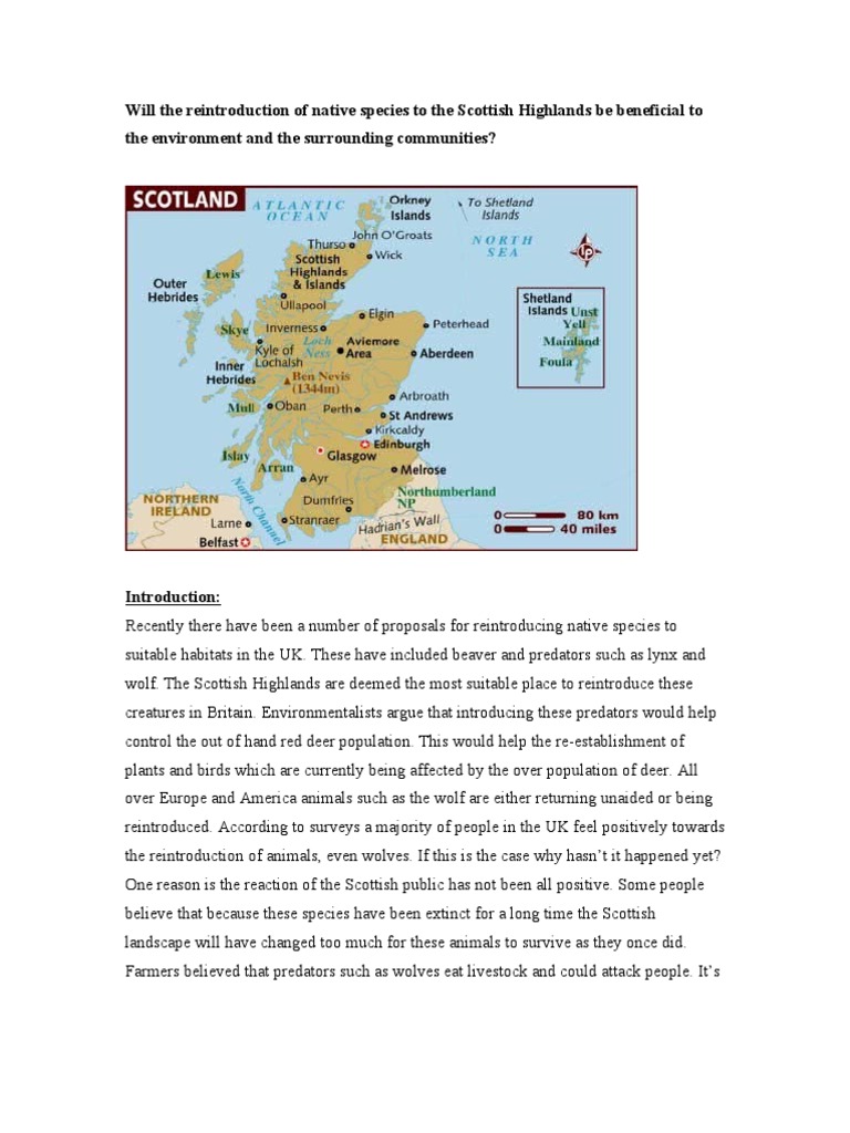 Geographical Issue Essay - 2 | PDF | Gray Wolf | Predation
