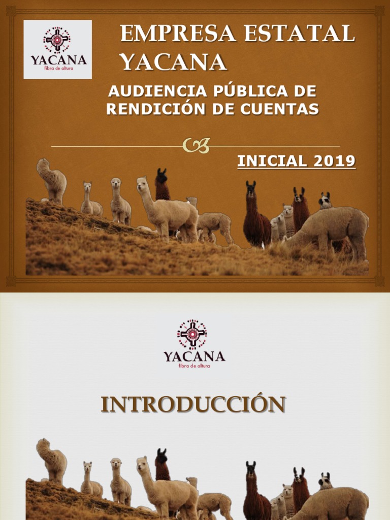 Yacana | PDF | Presupuesto | Business