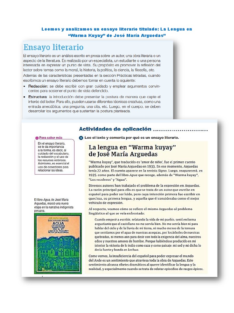Análisis del ensayo "Warma Kuyay" | PDF
