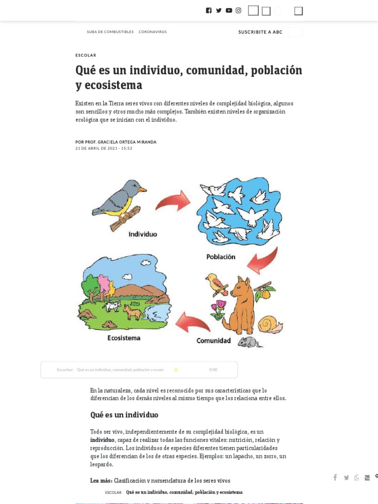 Qué Es Un Individuo, Comunidad, Población y Ecosistema - Escolar - ABC ...