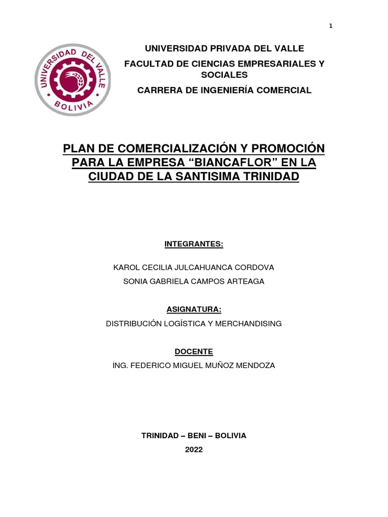 Proyecto - Bianca Flor | PDF | Producto (Negocio) | Marketing