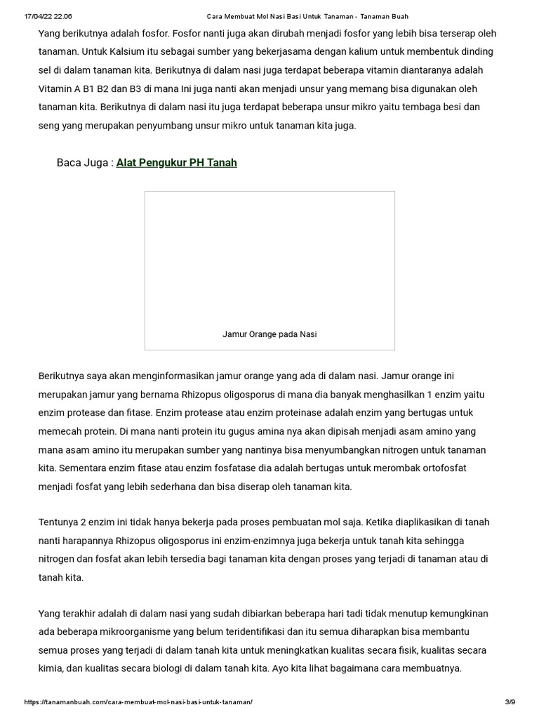 Cara Membuat Mol Nasi Basi Untuk Tanaman - Tanaman Buah-3 | PDF