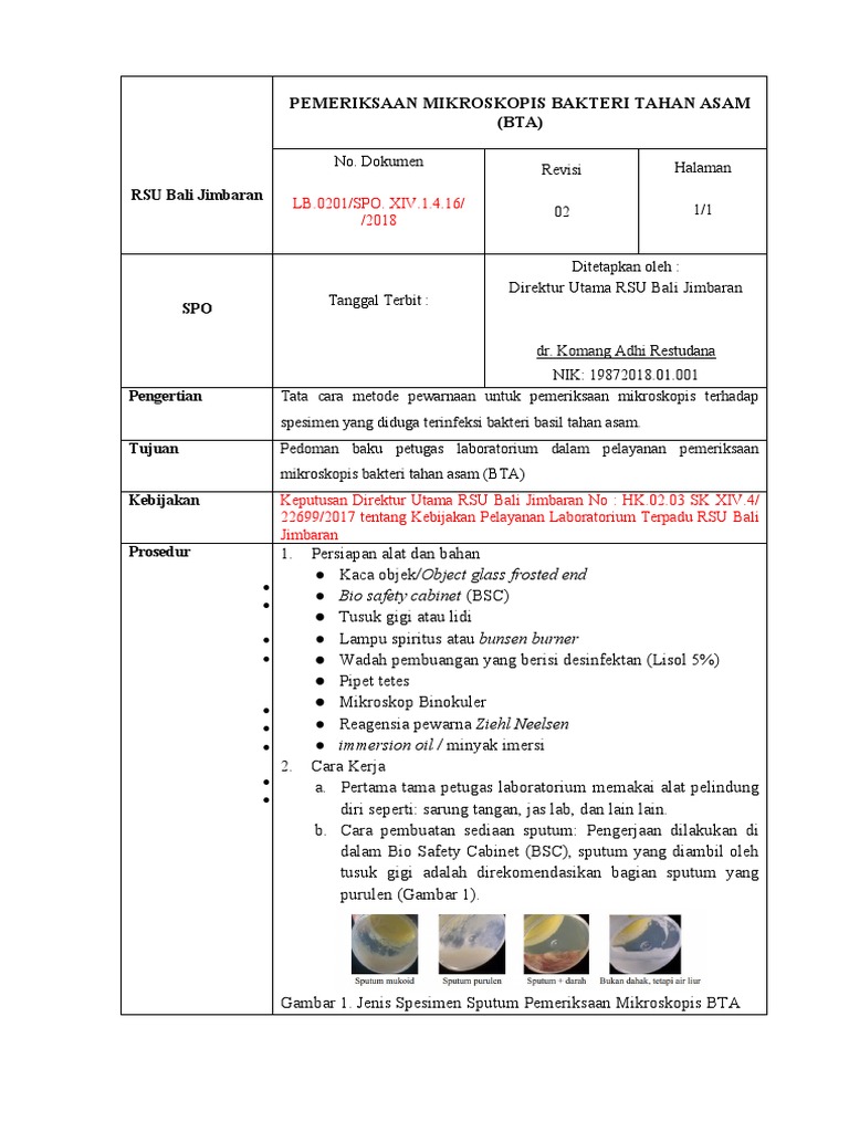SOP Pemeriksaan BTA Baljim | PDF