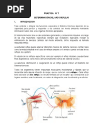 Test de Isaacs | PDF