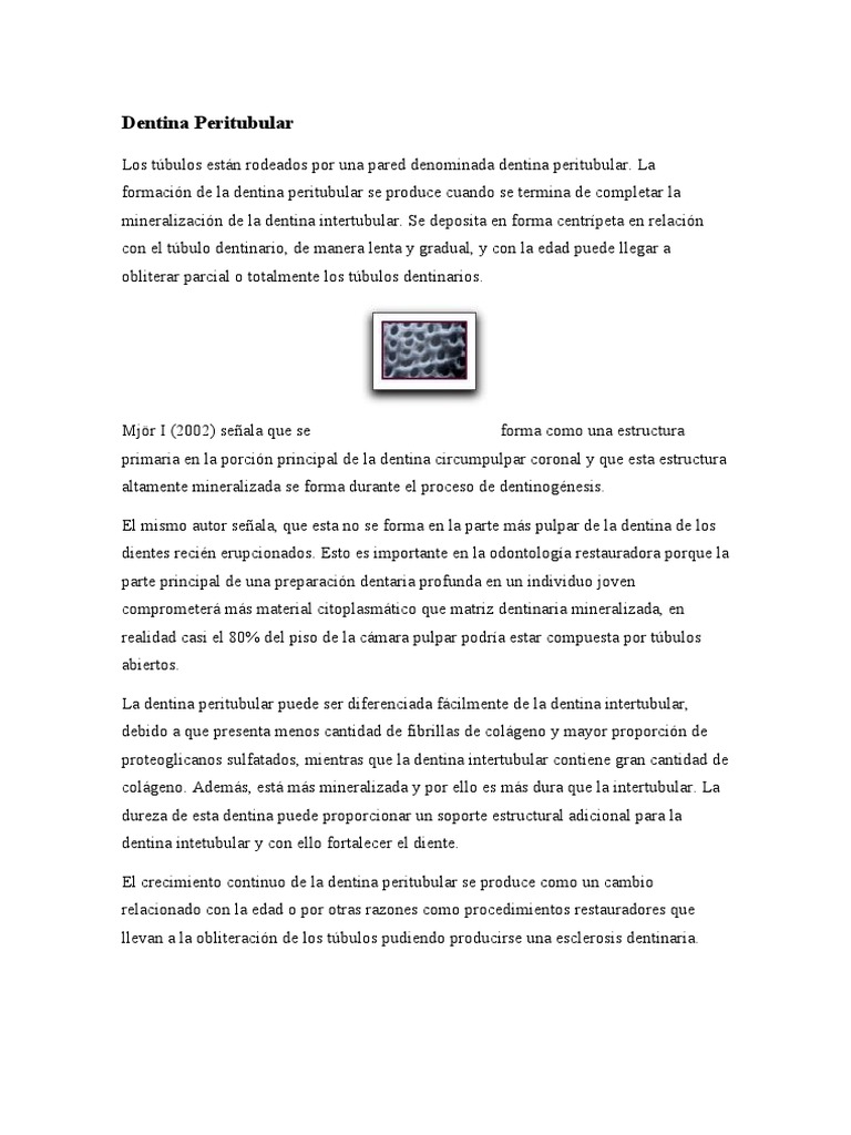 Dentina Peritubular | PDF | Dentina | Diente