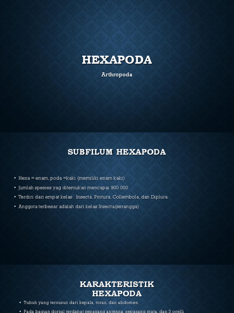 Hexapoda | PDF