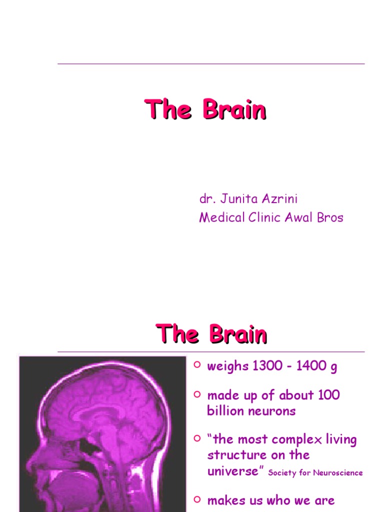 Brain PPT 1 | PDF