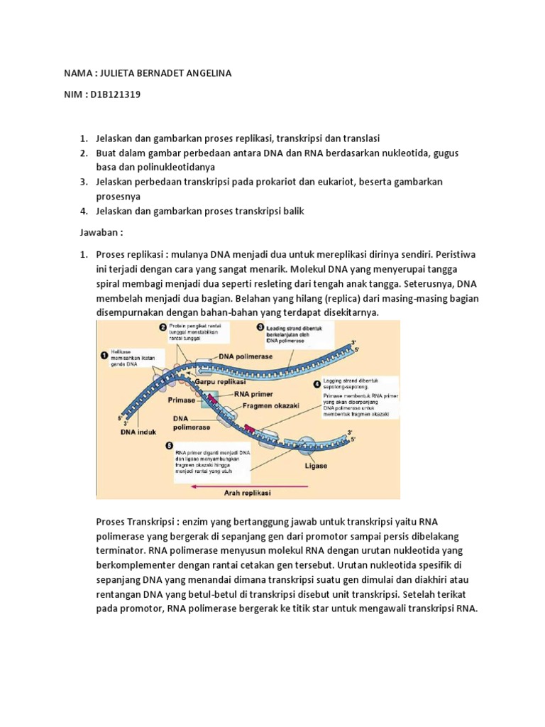 Proses Replikasi, Transkripsi, dan Translasi | PDF